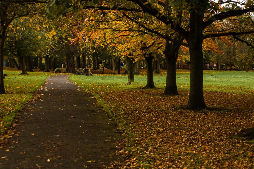 Orienteering at Longford Park | Friends of Longford Park
