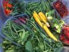 Community Allotment Open Session – Wednesday | Friends of Longford Park